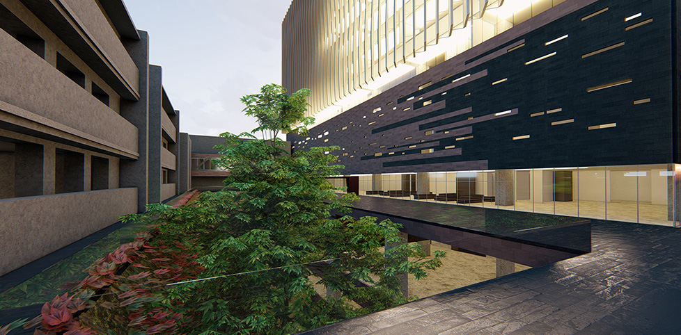 Sector salud – irkon